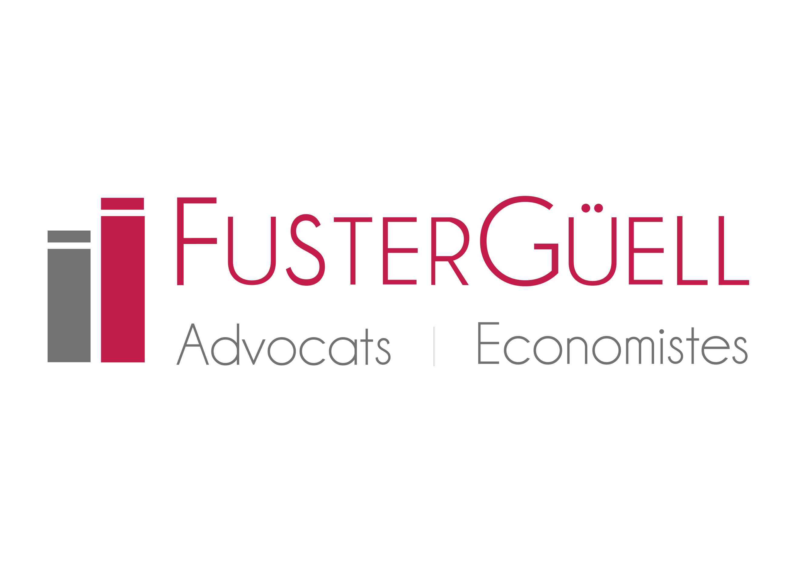 FUSTER GUELL ADVOCATS I ECONOMISTES - BILOOP